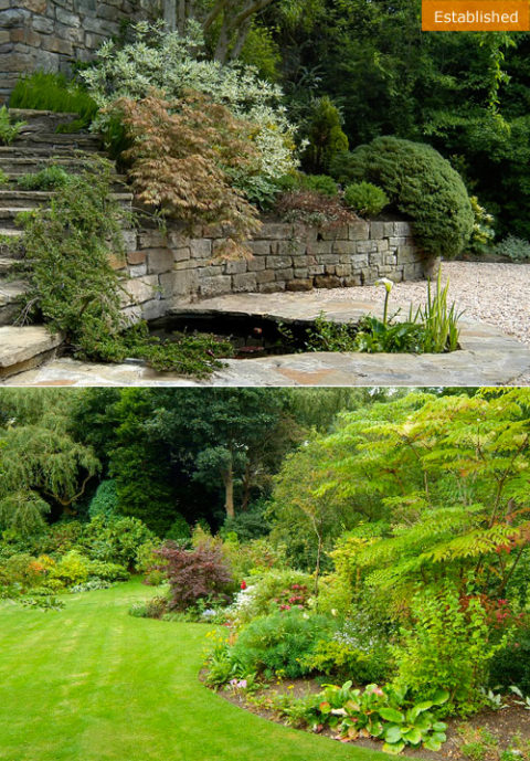 A Traditional Garden in the Grange - Polley Garden Design